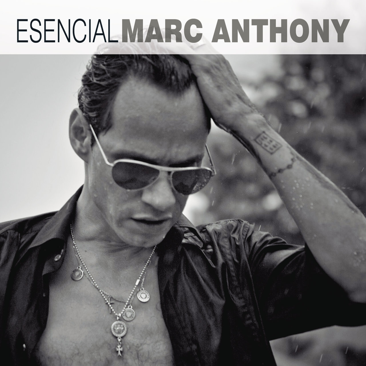 TIDAL: Listen to Marc Anthony on TIDAL